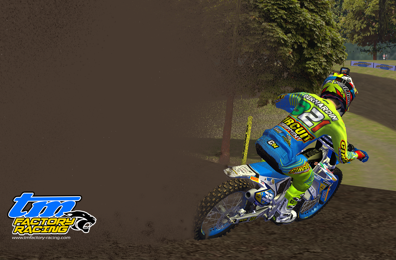 2017 TM Factory Racing Outdoors - MX Simulator